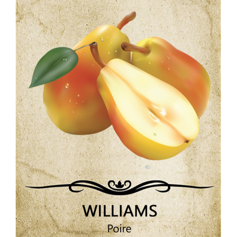 WILLIAMS - Poire - Accueil - FRENCH RIVIERA